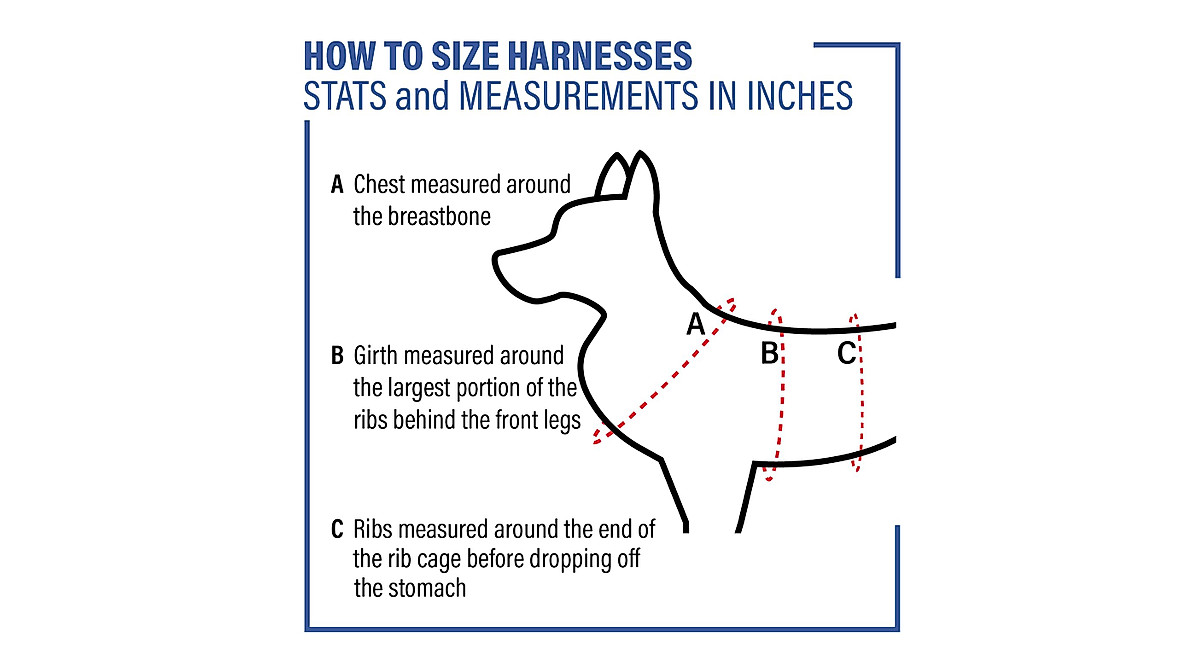 Ray Allen Modular Duty Harness for Working Dogs