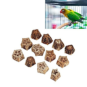 Pssopp Bird Chewing Blocks Toy,Decorative Dried Nut Wood Bird Block Toys Decorative Five Pointed Bird Toy for Bird Supplies Hamsters Totoros Rabbits