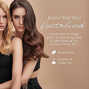 Lisap Top Care Repair | Elixir Care Shampoo | Cleanses, Hydrates, and Adds Shine to Dry, Damaged Hair | 16.91 fl oz