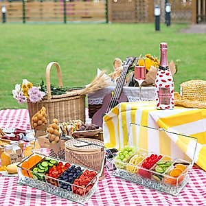 INNOVATIVE LIFE Bar Serving Tray on Ice with 5 Compartments Container, Fruit Trays for Serving , Garnish Platters with Lid , Clear