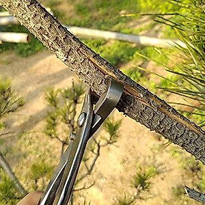 210mm Stainless Steel Garden Branch Cutter Long Handle Scissor Bonsai Tool for Garden Accessories