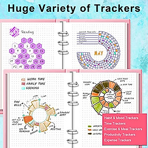 16Pcs Journal Stencils Set - Time Saving Bullet Journaling Supplies/Accessories Kit -Ultimate Productivity Planner Stencil for Bullet Journal Stencils A5 Dotted Journals