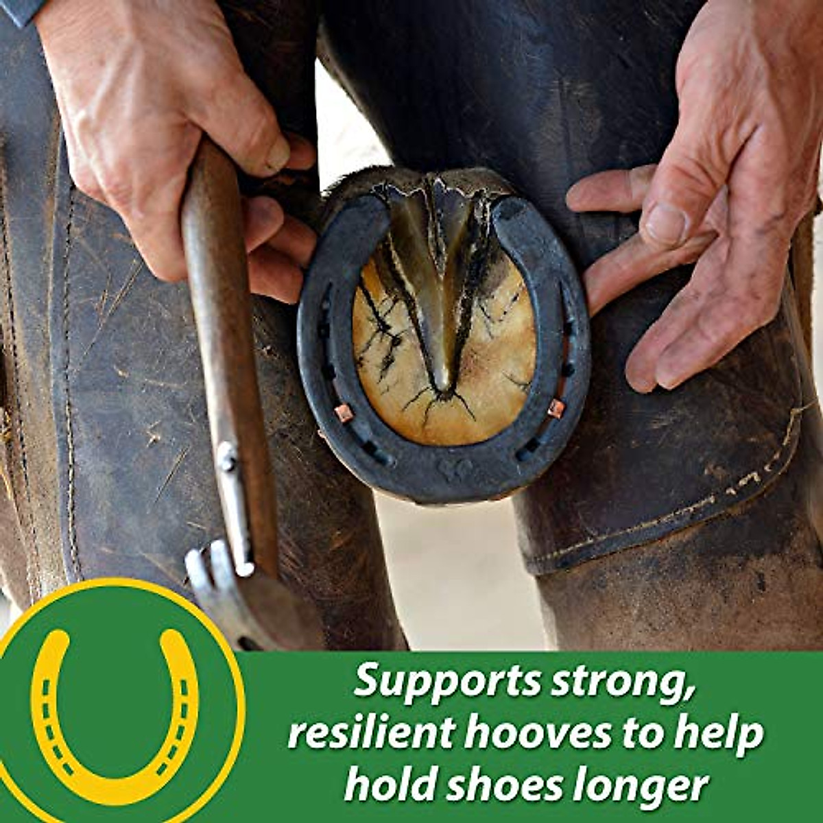 Farnam HB 15 Hoof Supplement, Supports Healthy hoof Growth 7 Pound, 112 Day Supply