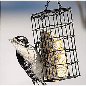 Suet Bird Feeders for Outside Hanging - Pack of 2 pcs x Single Suet Cake Capacity Basket/Cage for Feeding Wild Birds Outdoors/Backyard/Garden