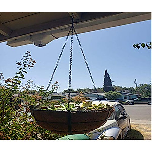 Tosuced Hanging Chains 156 Inches for Bird Feeders, Billboards, Chalkboards, Planters and Decorative Ornaments（ Black ，10 Hooks ）