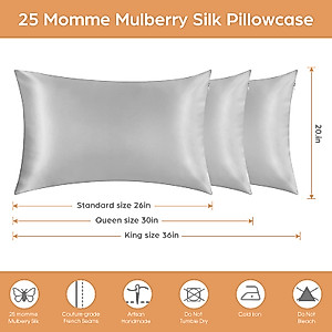 Veaken Silk Pillowcase for Hair and Skin, 2 Pack 100% Mulberry Silk Pillowcase 25 Momme, 600 Thread Count, Both Side Pure Silk Pillow Cover with Hidden Zipper (Gray, Queen 20''×30'')