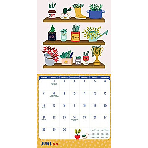 Crazy Plant Lady Mini Wall Calendar 2020