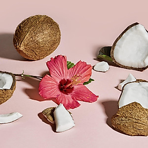 SheaMoisture Shampoo Curl and Shine for Curly Hair Coconut and Hibiscus Paraben Free Shampoo 13 oz