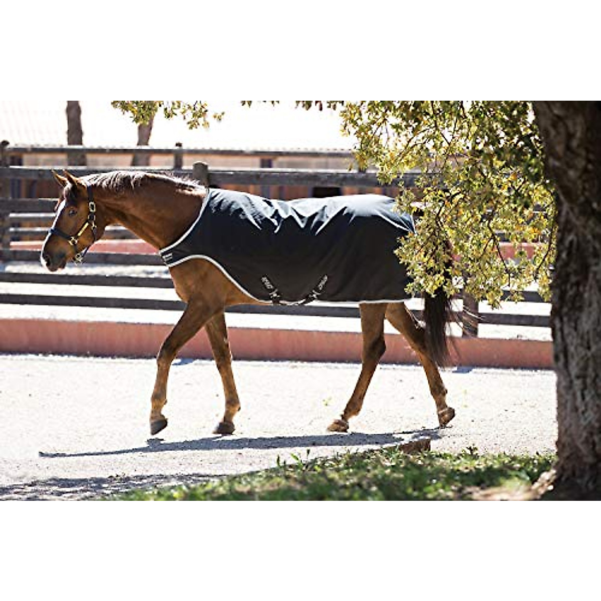 Horseware Amigo Walker Large