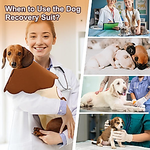 SAWMONG Dog Surgery Recovery Suit with Foldable Cone, Stretch & Cotton Dog Spay Surgical Suit for Female Dogs, After Surgery Dog Onesie with Adjustable Rear Flap, Medium