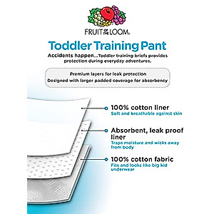 Fruit of the Loom Baby Toddler Potty Training Underwear (6 Pack), Girls Brief-Assorted Color, 18 Months