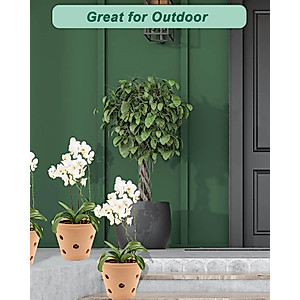 vensovo 6 Inch Terracotta Orchid Pots with Holes and Saucers - 3 Pcs Small Clay Orchid Planter Pots for Repotting, Plant Flower Pots for Orchid Indoor and Outdoor Promotes Air Circulation