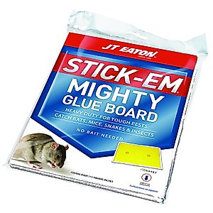 JT Eaton Stick Em 157 City Rat and Snake Glue Traps, Indoor Home Glue Trap, 1 Pack