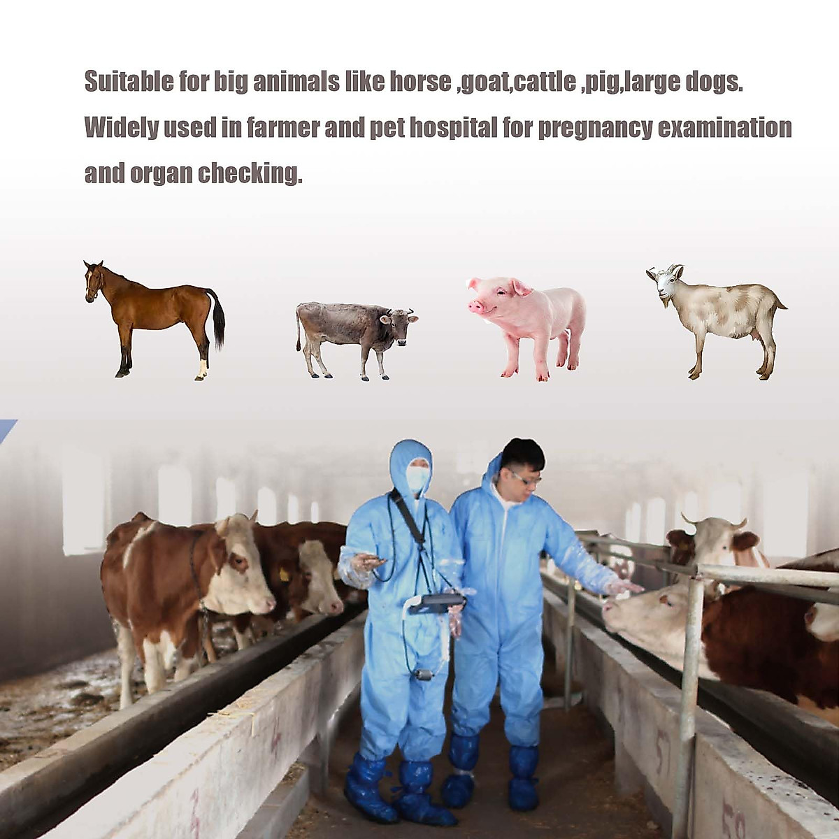 DAWEI Veterinary Ultrasound Machine for Pregnancy Portable Vet Handheld Scanner B-Ultra Sound Lightweight Ultrasound with 3.5Mhz Waterproof Probe for Pig,Sheep,Dog use