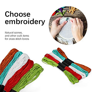 QANYEGN 100 Colors Embroidery Thread, Polyester Coon Thread, Embroidery Floss Set for Cross Stitch and Sewing Projects