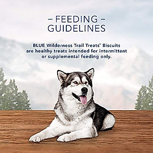 Blue Buffalo Wilderness Trail Treats High Protein Grain Free Crunchy Dog Treats Biscuits, Turkey Recipe 24-oz Bag
