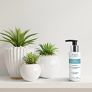 Organic Facial Cleanser - Anti Aging Vitamin C Face Wash - Breakout & Blemish - Clear Pores on Oily, Dry & Sensitive Skin with Organic Ingredients - Gentle, Brightening & Hydrating Face Wash - 4.05 oz