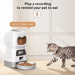 KutoraWorks Automatic Cat Feeder, Dog Food Dispenser with Rotary Lock Lid, Visual Window, Memory Function, Voice Recorder, Stainless Steel Dish, 0-20 Portion Control for 1-4 Meals Daily, 118oz