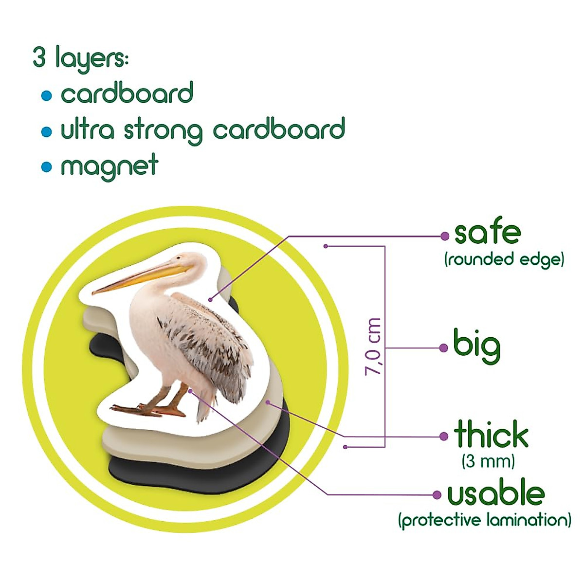 25 Fridge Magnets for Toddlers - Birds Photo Kids Magnets for Fridge - Toddler Magnets for Refrigerator - Magnetic Animals - Fridge Magnets for Kids - Animal Magnets - Toddler Fridge Magnets