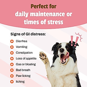 Pet Naturals Daily Probiotic for Dogs, 120M CFUs - Pre and Probiotics for Dogs Digestive Health, Gut Health, Immune Support, Diarrhea, Allergies and Itching - 60 Chews, Duck Flavor