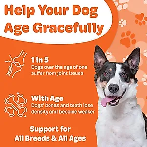 Boneo Canine Maintenance Formula- Lactoferrin-Based Bone and Joint Supplement for Dogs- 90 Ct Chewable Tablets, Liver and Sausage Flavor