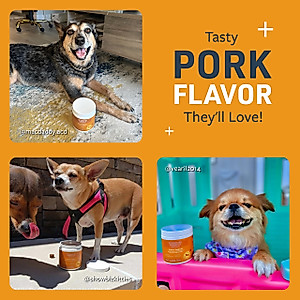 Veterinary Formula Smart Vitality Senior Support Supplement for Dogs - Soft Chews, 100ct - Support Healthy Joints, Skin, Gut, and Immunity with Glucosamine Chondroitin for Dogs