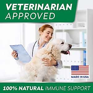 StrellaLab Dog Allergy Relief & Anti Itch Support Chews w/Omega 3: Real Ingredients, Real Taste! Skin & Coat Immune Supplement w/Fish Oil, Pumpkin & Enzymes — Developed by Experts - Made in USA -120Ct