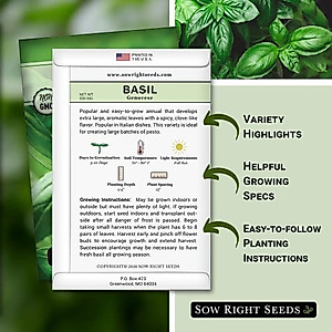 Sow Right Seeds - Genovese Sweet Basil Seed for Planting - Heirloom, Non-GMO with Instructions to Plant and Grow a Kitchen Herb Garden - Great Gardening Gift - Minimum of 500mg per Packet (1)