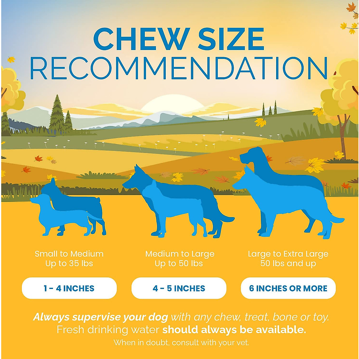 123 Treats 6 Inch Beef Collagen Sticks for Dogs - Rawhide Free Long Lasting Dog Collagen Chew Treats - Collagen Dog Chew Sticks for Large Dogs - 10 Count