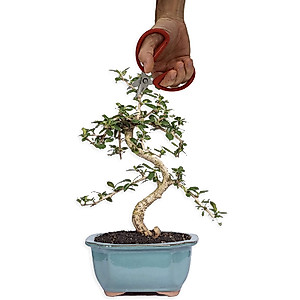 R&R SHOP Bonsai Precision Scissors Kit - Trimming, Bonsai Pruning, Precision Cuts and Small Branches and Roots, Bamboo Rakè - Set of 4