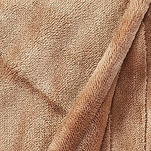 Beautyrest Heated Electric Blanket for Cold Weather, Fast Heating Heated Blanket, Auto Shut Off, Virtually Zero EMF, Multi Heat Setting, UL Certified, Mink Throw (60 inx70 in)