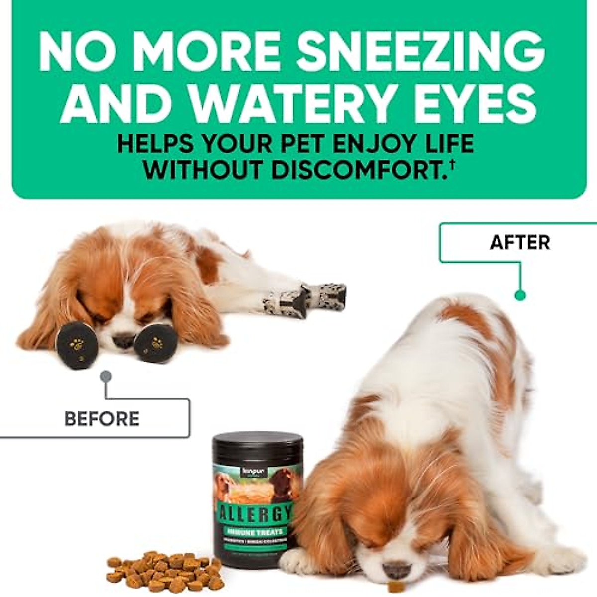 Natural Dog Allergy Chews with Omega, Probiotics, Apple Cider Vinegar - Dog Allergy Relief Supplement - Helps with Hot Spots, Itchy Skin, Seasonal and Food Dog Allergies - 180 Allergy Chews for Dogs