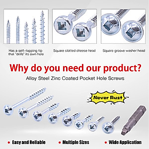 Hilitchi #8 Alloy Steel Zinc Pocket Hole Screws Weather Resistant Square Drive Screws with Square Drive (1 1/4 Inch Coarse Thread-280PCS)
