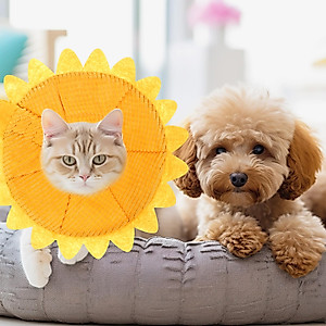 POPETPOP Pet Protective Recovery Collar - Adjustable Sunflower Shape Elizabethan Cat Cone Collar, Cute Soft Cone After Surgery Neck Collar for Cats and Small Dogs