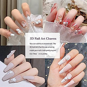 CQ zagir 140 Pcs 3D Flower Nail Art Charms White Nail Charms for Acrylic Nail Supplies Luxurious Mixed Nail Art Rhinestones Nail Gems Nail Accessories DIY Nail Decorations