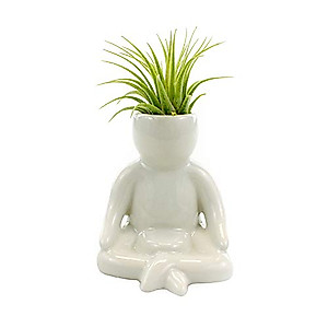 3.25 Inch White Ceramic Meditating Person Shaped Planter with Live Tillandsia Air Plant - Potted Indoor Air Plants for Home and Office Decor