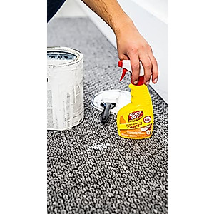 Goof Off FG910 Paint Remover Carpet Cleaner Solution –, 12 oz. Spray