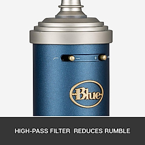 Blue Microphones Bluebird SL Large-Diaphragm Condenser Microphone (Renewed)