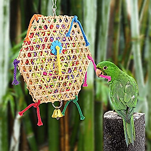 AK KYC Bird Parrot Toys，2 Pack Bird Hanging Foraging Shredder Toys for Small Medium Small Bird Conure Cockatiel Parrotlet Lovebird Budgie