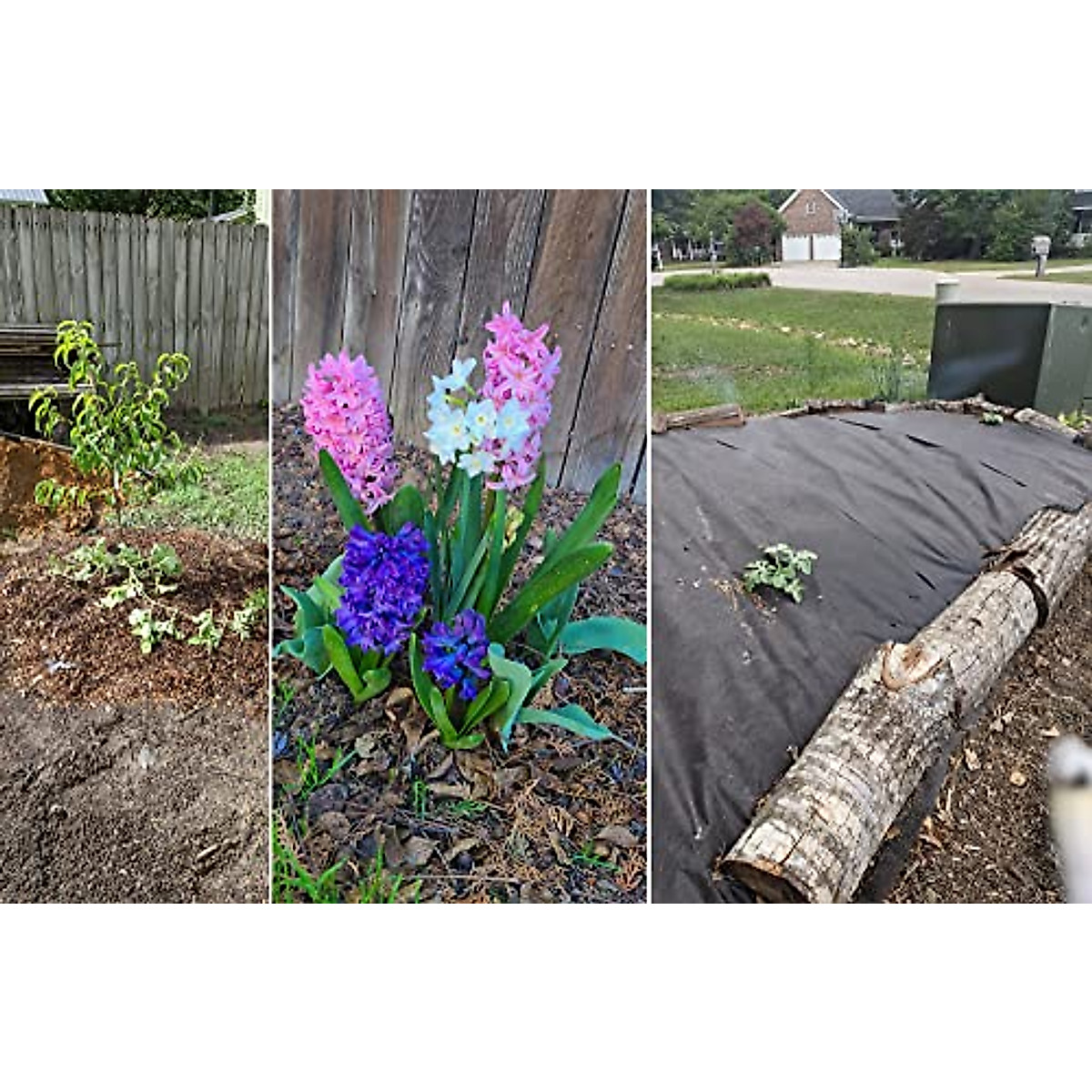 30 QT Professional Grade Horticultural Organic Vermiculite (30 QT, Vermiculite)