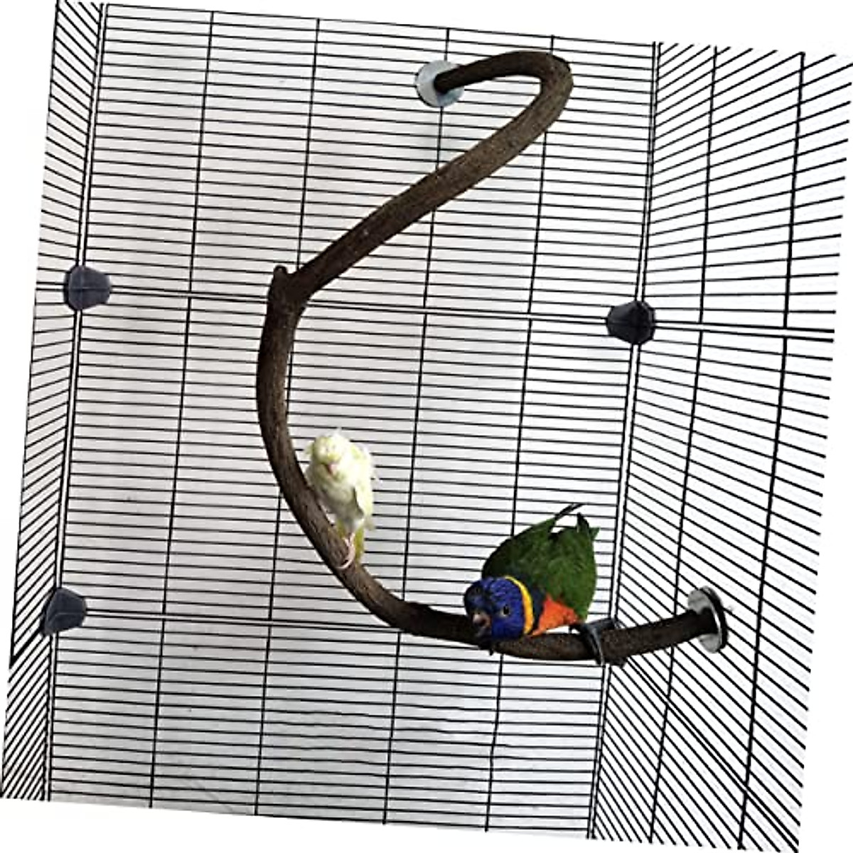 Mipcase 1pc Training Cockatiels Branches Toys Parakeet Supply Resistant Paw Perch Stand Wooden Accessories Conures Bird for Cage Stick Pet Bracket Caciques Parakeets Grinding Hamster