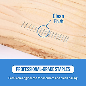 meite 22G71S516 22 Gauge 71 Series 3/8-Inch Crown 5/16-Inch Leg Length Galvanized Upholstery Staples for Fine Wire Staplers 10,020pcs/Box (1 Box)