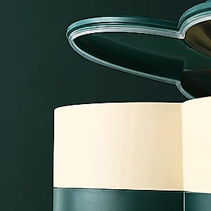 GRFIT Fruit Tray Birthday Party Supplies Plate Tray 4-Section Candy Snack Salad Desserts Dried Fruit Nuts Plate For Wedding Home Office Party Fruit Bowl