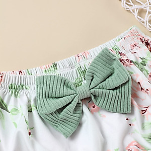 bilison Girl's Funny Letter Top Floral Pants With Headband Newborn Summer 3Pcs Sets Romper Outfit, Green-daddy's Girl, 0-3M