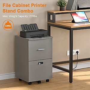2 Drawer File Cabinet with Lock, 2 Drawer Filing Cabinets for Home Office, Wood Filing Cabinet Under Desk, Rolling Printer Stand Vertical File Cabinets