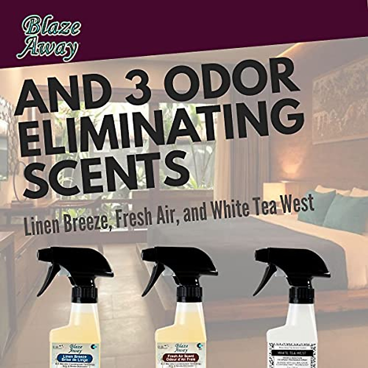 Blaze Away Commercial Air Freshener/Odor Eliminator & Smoke Neutralizer Spray - Professional Odor Removal - Cleans Strong Odors on a Molecular Level - Long Lasting Fresh Air Scent - 16oz Sprayer
