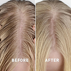 Just Nutritive Oily Hair Shampoo | Control Oily and Greasy Residue | Greasy Hair Shampoo for Men and Woman | Natural Deep Cleanser for all Hair Types 16 Fl Oz