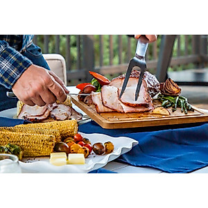 Pit Boss 40325 Chicken & Poultry Rub Grill Spices, 12.5 Ounce (Pack of 1), Multicolored