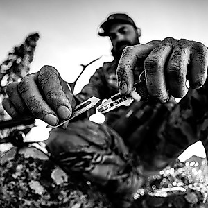 Gerber Gear Vital Pocket Folder with Replacement Blades - 2.8" Exchange-A-Blade - Camping and Survival Knife - Orange