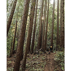 POC, VPD System Chest, Mountain Biking and Skiing Armor for Men and Women, Uranium Black, Large/X-Large